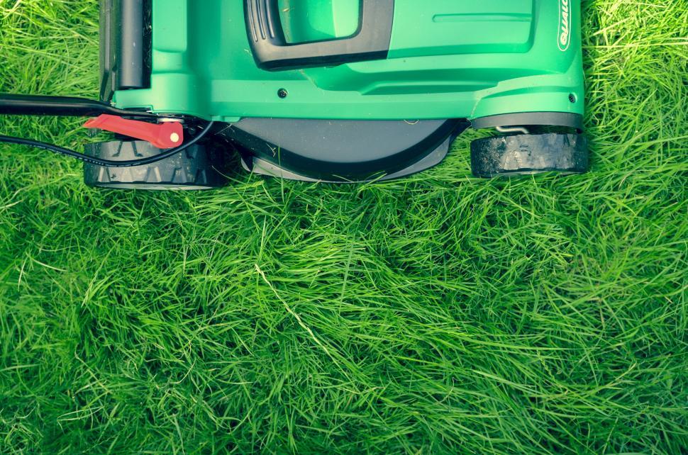 A quarter of Canadians think gas lawn mowers should be banned due to ...